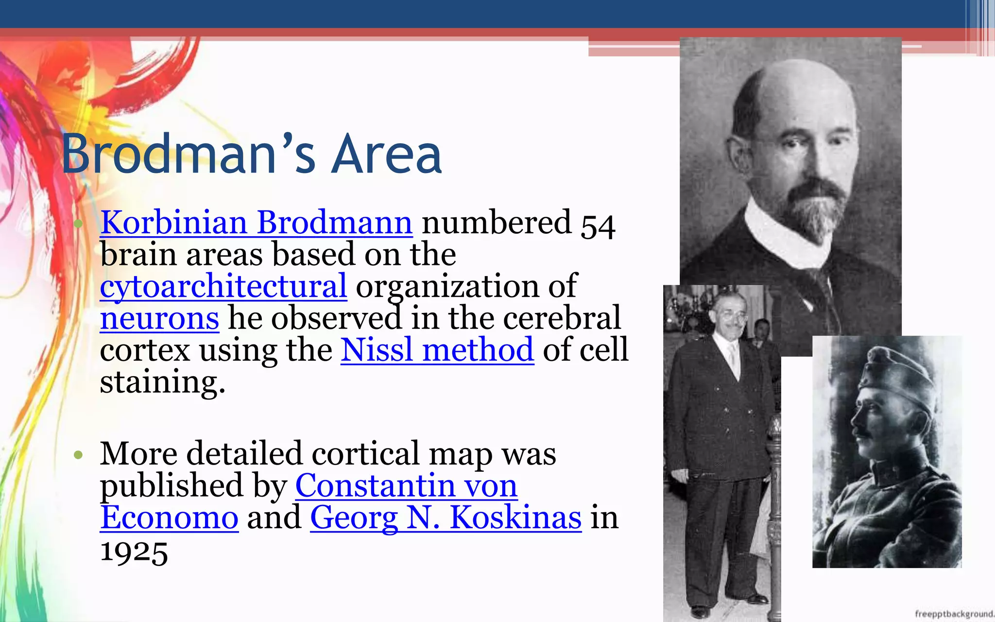 Cortical surface anatomy | PPT