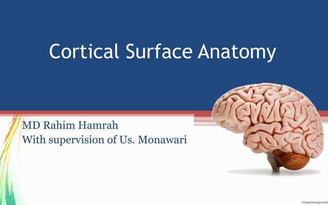 Cortical surface anatomy | PPT