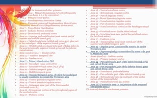Cortical surface anatomy | PPTX