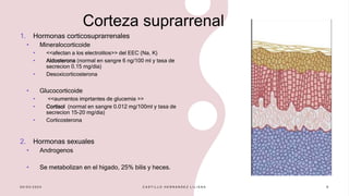 CORTICOESTEROIDESterapeuticamedica .pptx