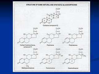 Corticoesteroides clase farmacol meidicina | PDF