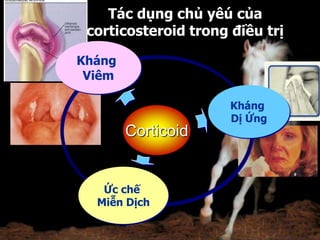 Corticoid.ppt