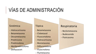 Corticoides | PPTX