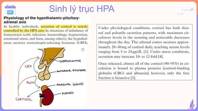 CORTICOID IN SEPTIC SHOCK 2024 okokokpptx | PPT