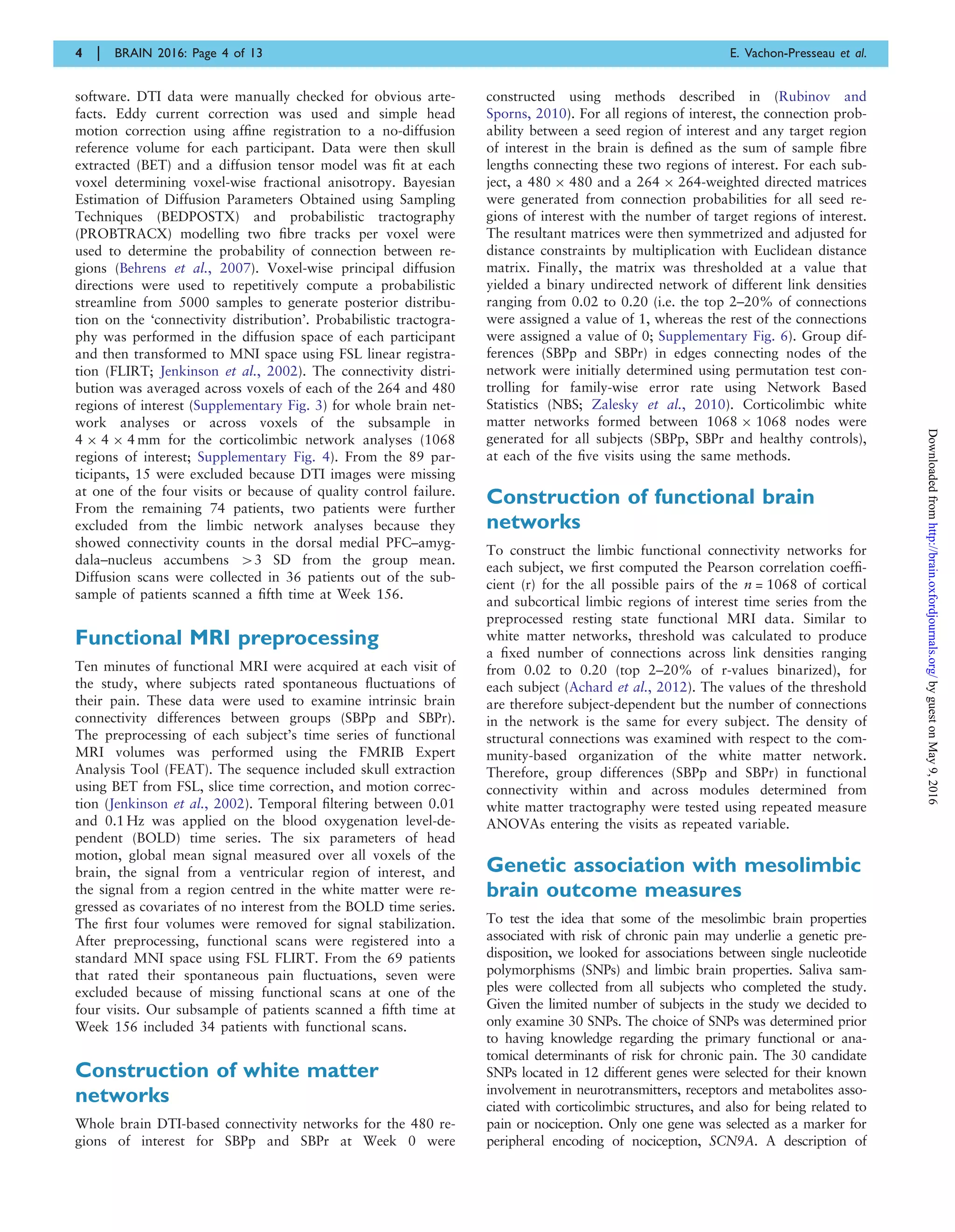 Corticolimbic anatomic characteristics predetermine risk for chronic ...