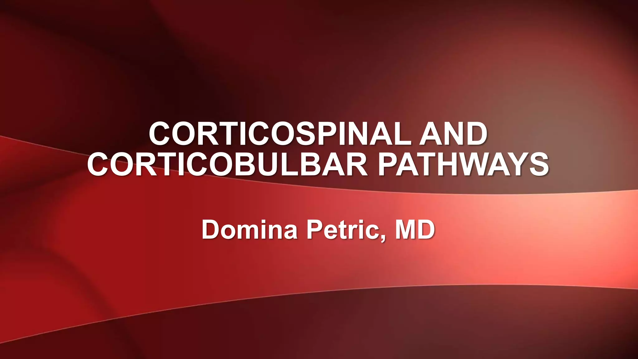 Corticospinal and corticobulbar pathways | PPTX