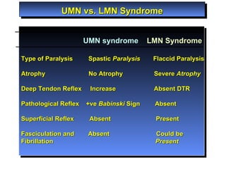 Corticospinal tract | PPT