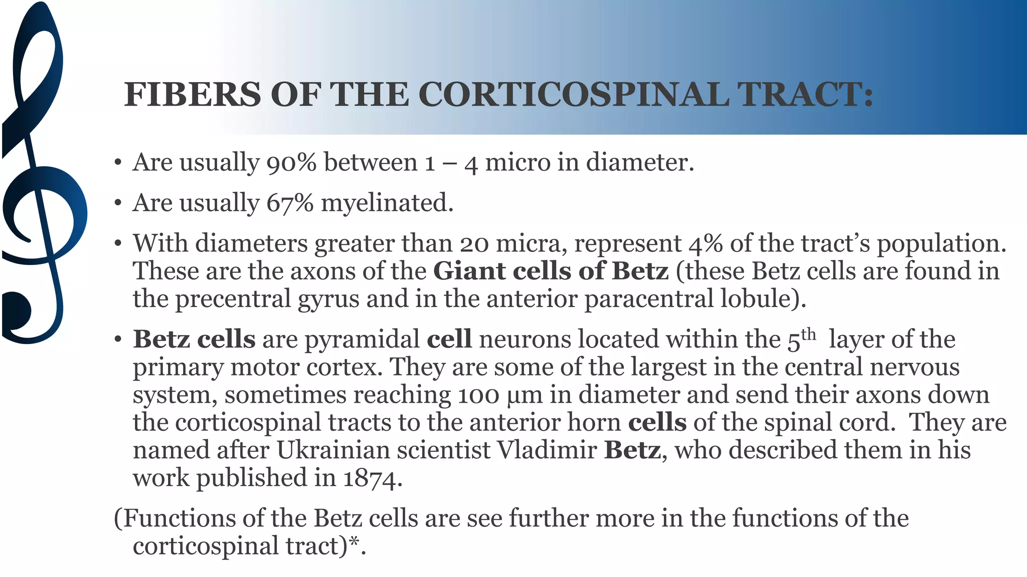 Corticospinal tract (Pyramidal tract) | PPTX