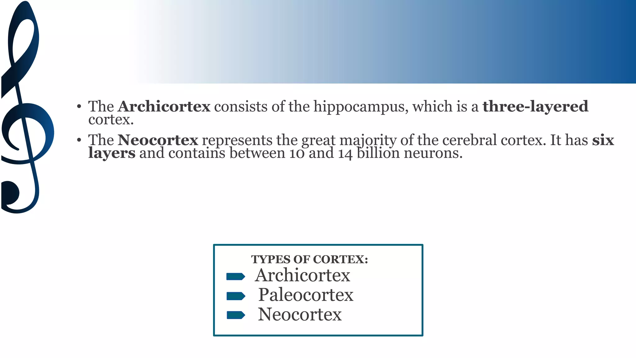 Corticospinal tract (Pyramidal tract) | PPTX