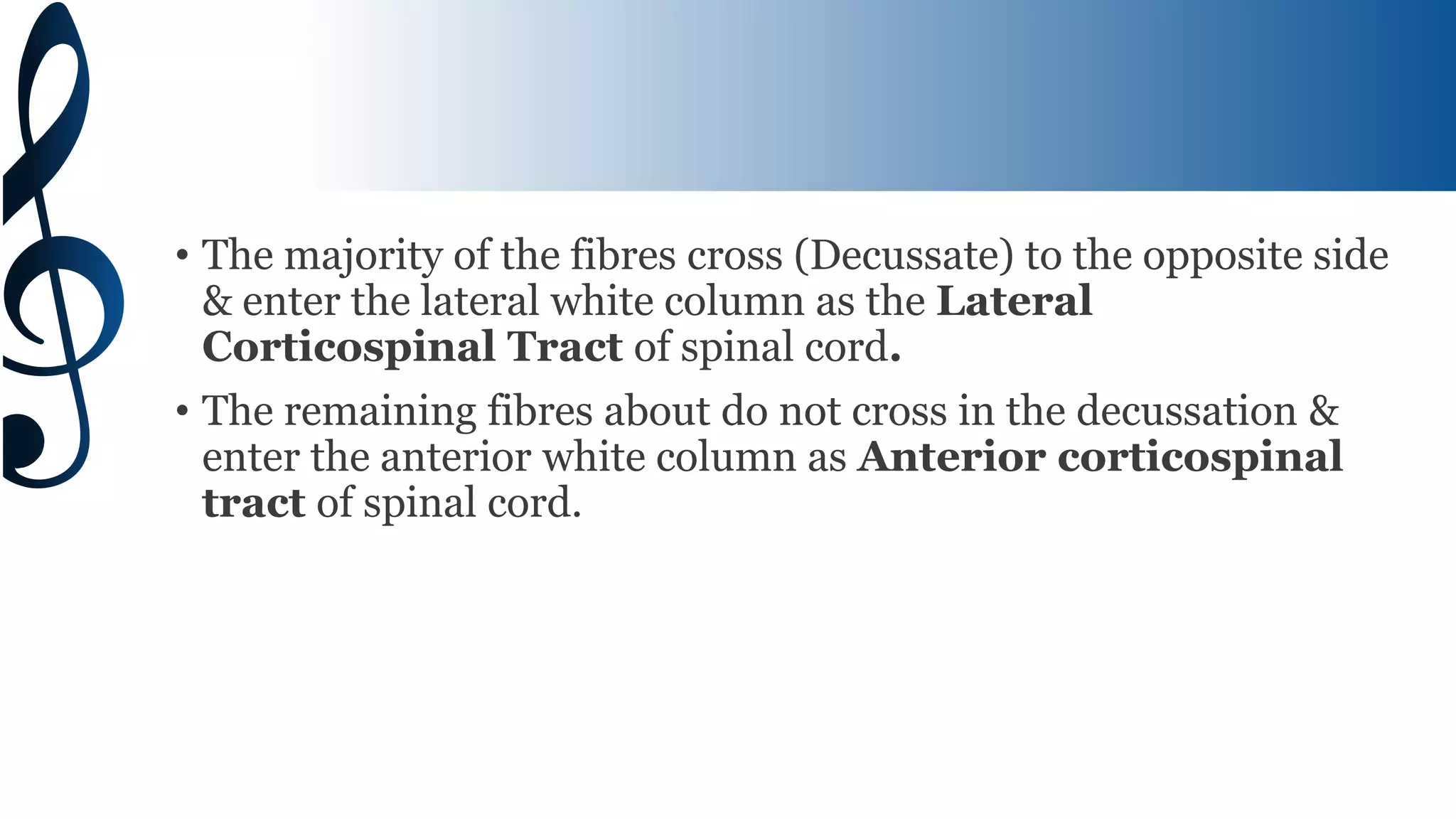 Corticospinal tract (Pyramidal tract) | PPTX