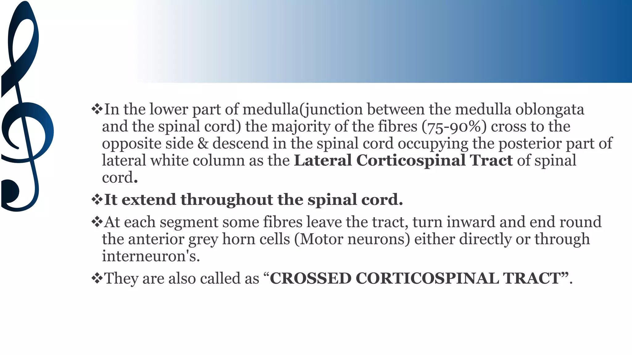 Corticospinal tract (Pyramidal tract) | PPTX