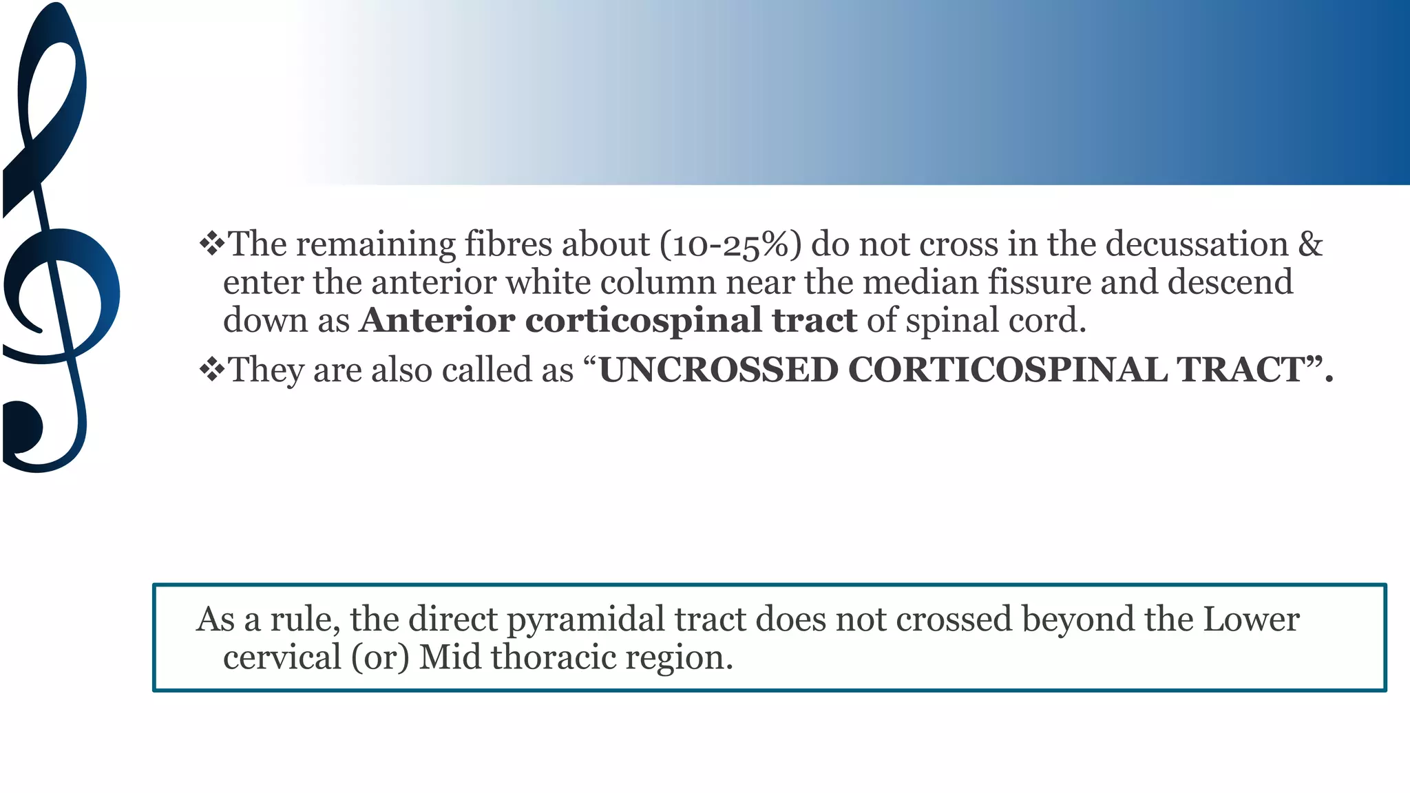 Corticospinal tract (Pyramidal tract) | PPTX