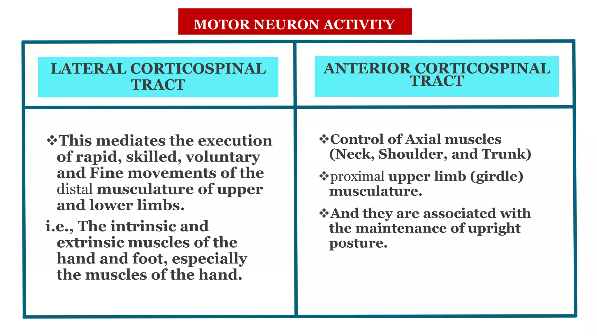 Corticospinal tract (Pyramidal tract) | PPTX