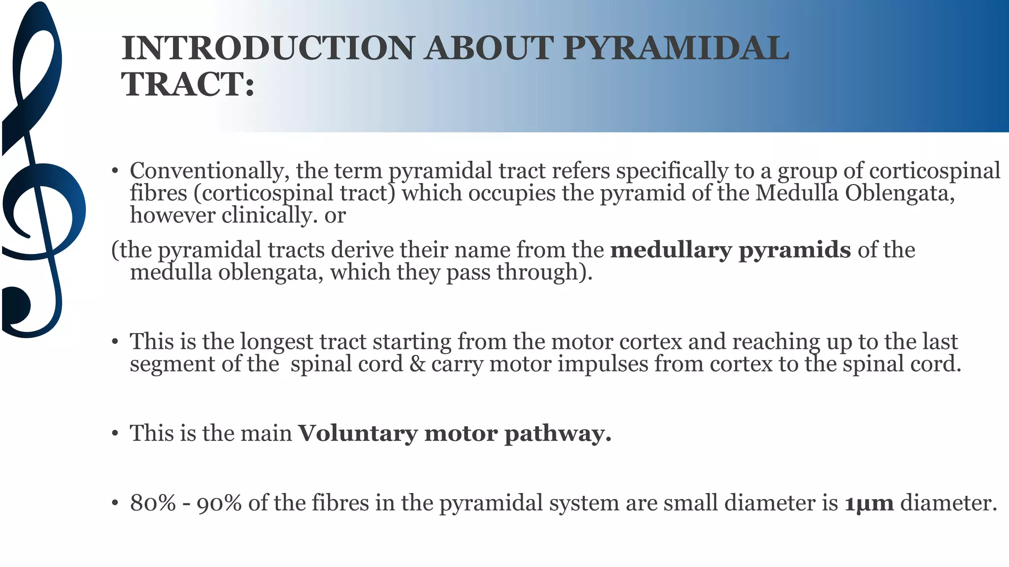 Corticospinal tract (Pyramidal tract) | PPTX