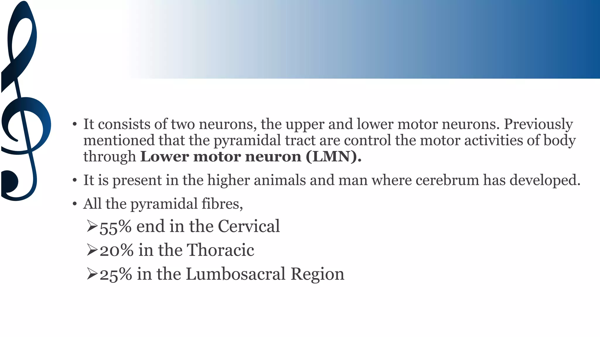 Corticospinal tract (Pyramidal tract) | PPTX