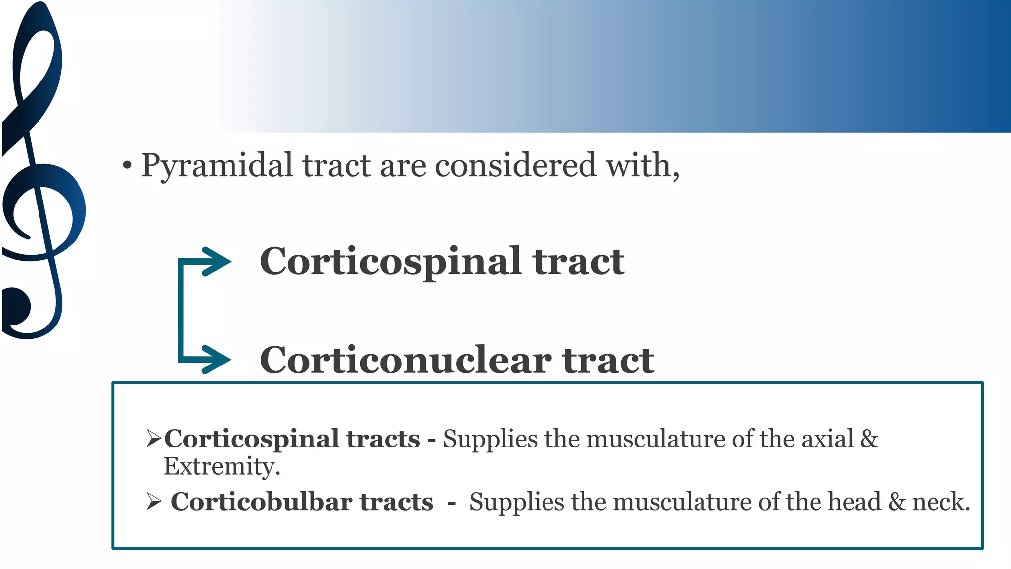 Corticospinal tract (Pyramidal tract) | PPTX