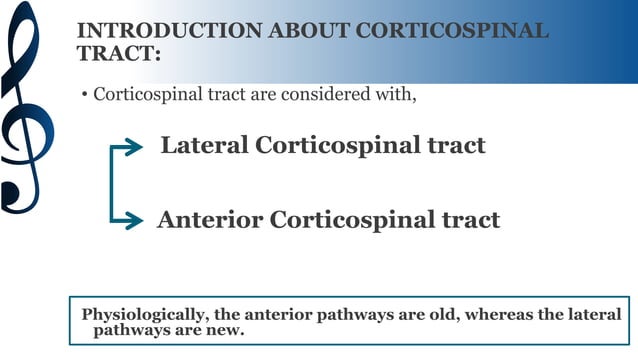 Corticospinal tract (Pyramidal tract) | PPTX | Brain and Nervous System ...