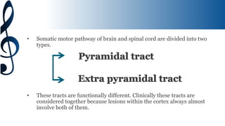 Corticospinal tract (Pyramidal tract) | PPTX