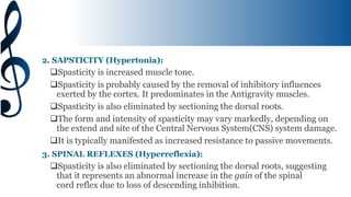 Corticospinal tract (Pyramidal tract) | PPTX