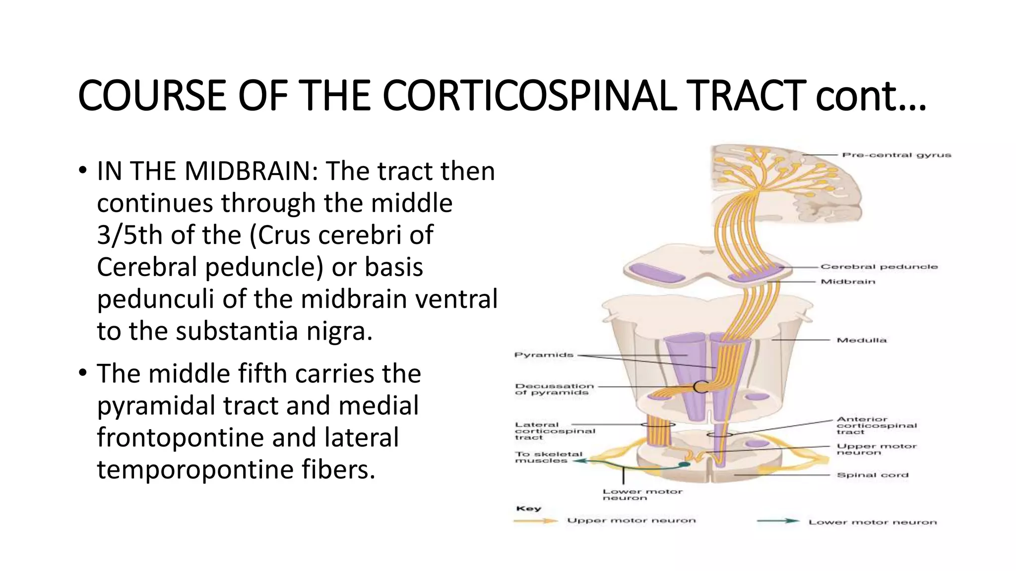 corticospinal tracts.pptx
