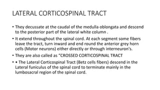 corticospinal tracts.pptx