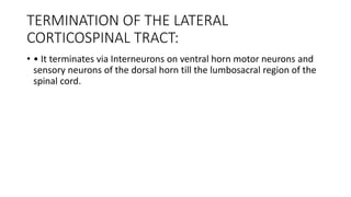 corticospinal tracts.pptx