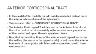 corticospinal tracts.pptx