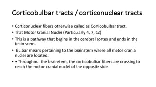 corticospinal tracts.pptx