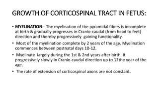 corticospinal tracts.pptx