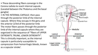 corticospinal tracts.pptx