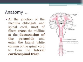 Corticospinal tract syndrome | PPTX