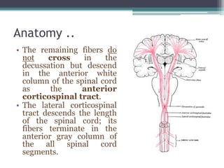 Corticospinal tract syndrome | PPTX