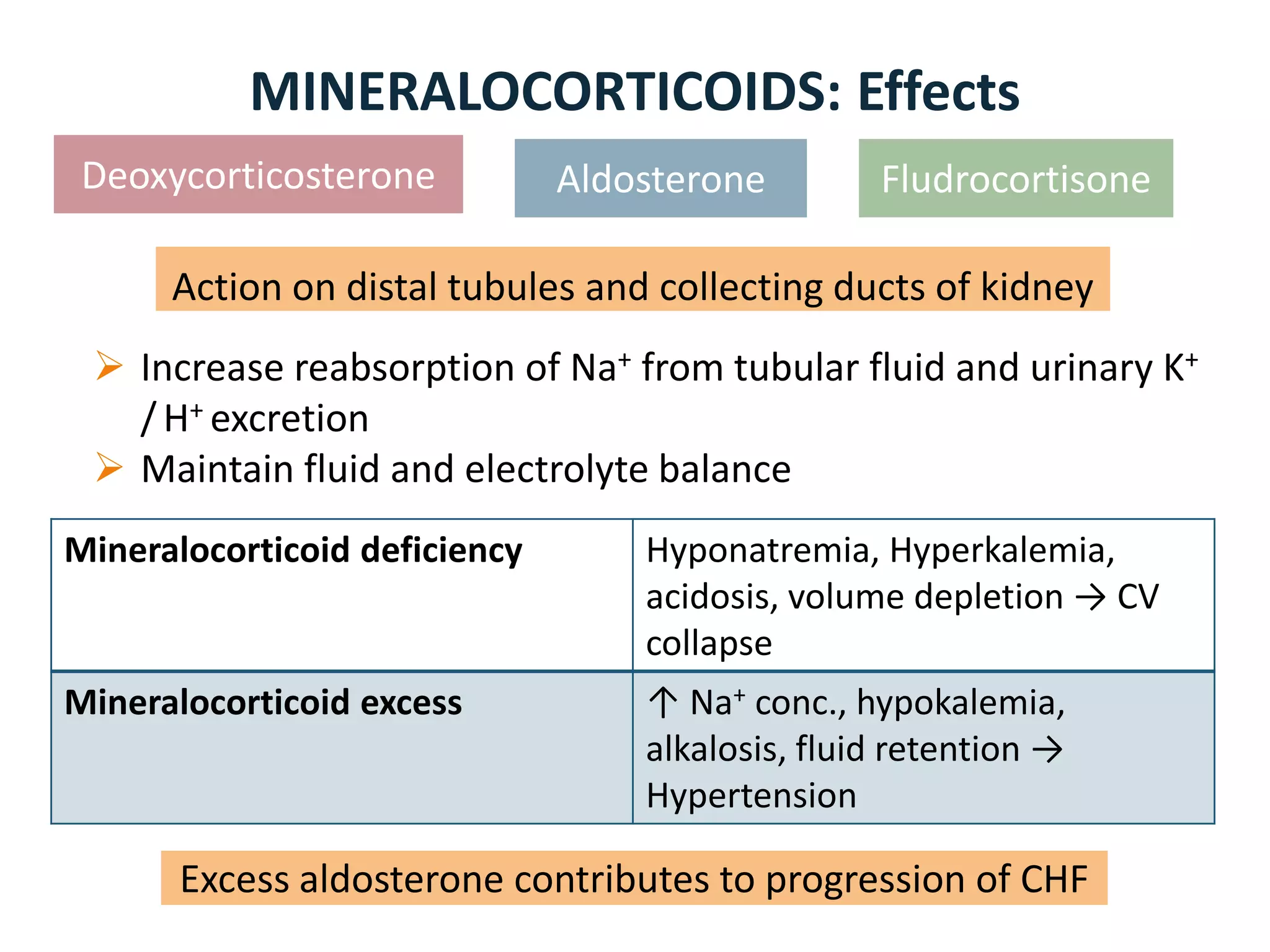 Corticosteroids | PPTX