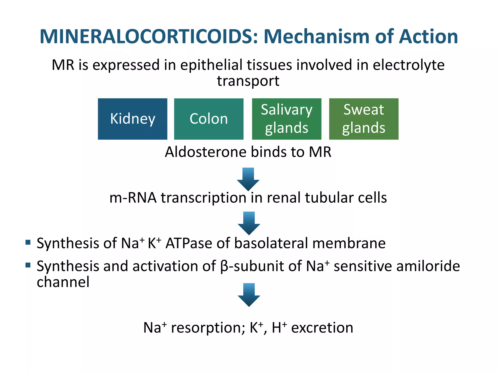 Corticosteroids | PPTX