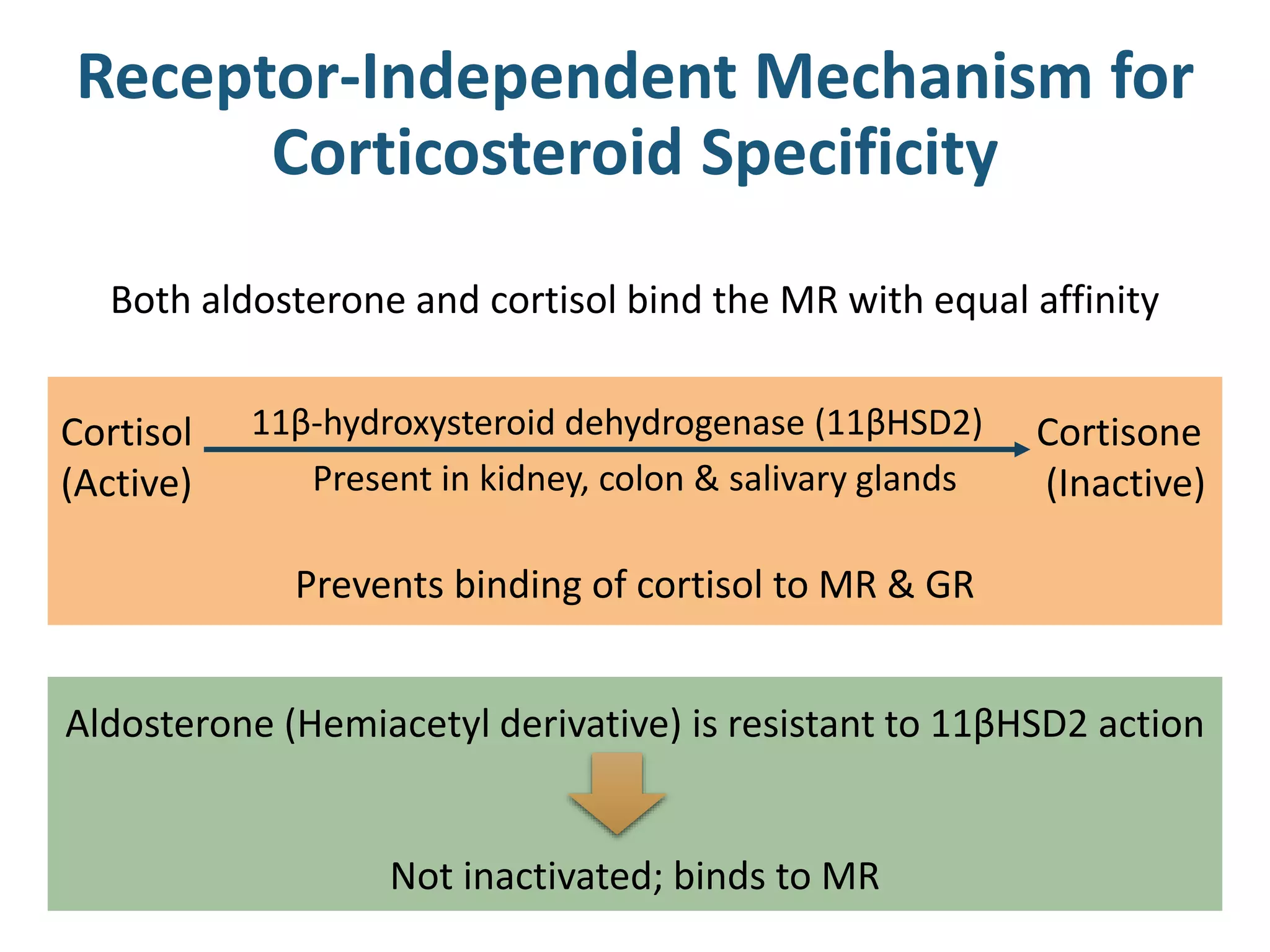 Corticosteroids | PPTX