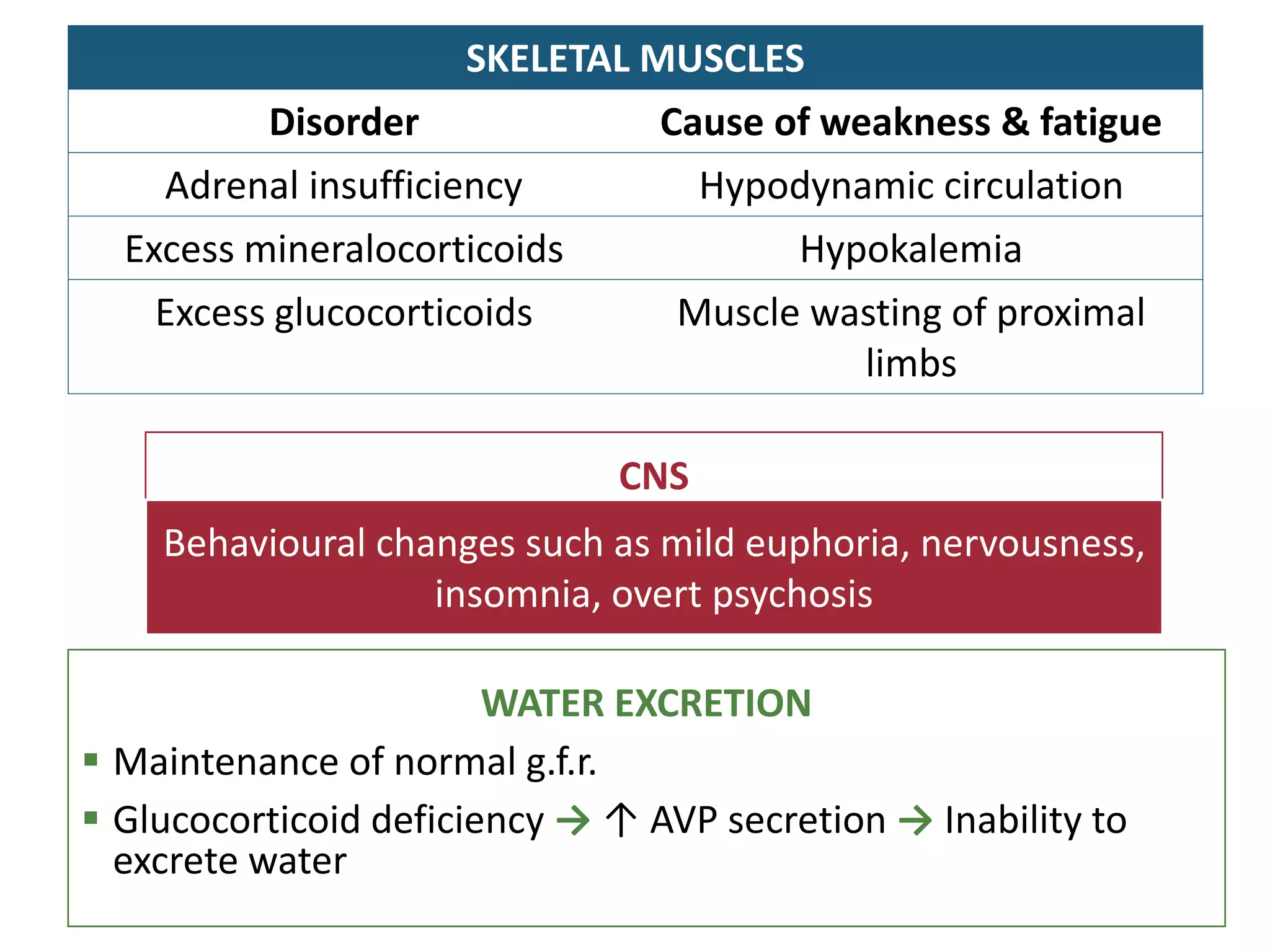 Corticosteroids | PPTX