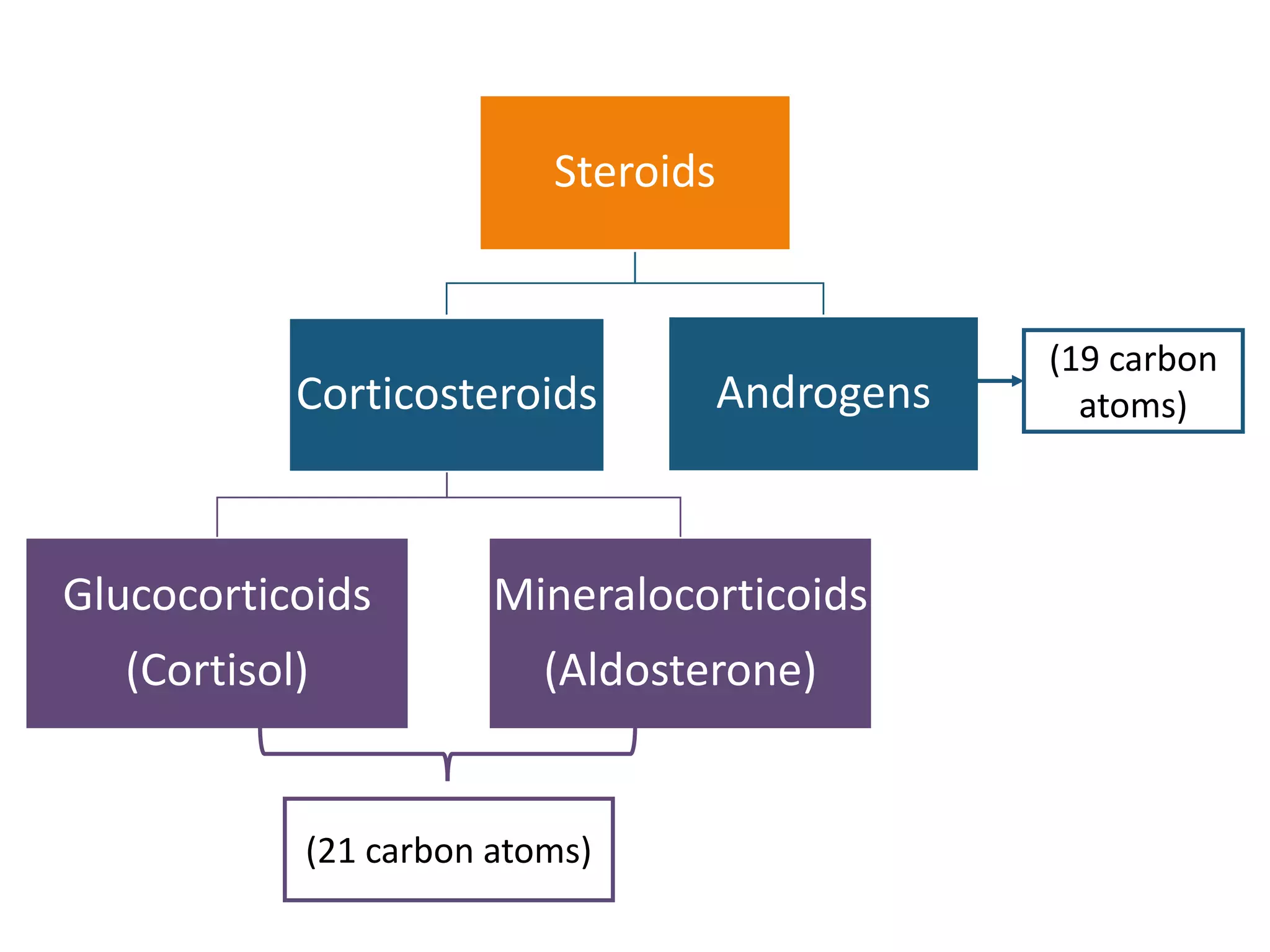Corticosteroids | PPTX