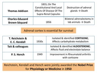 Corticosteroids | PPTX