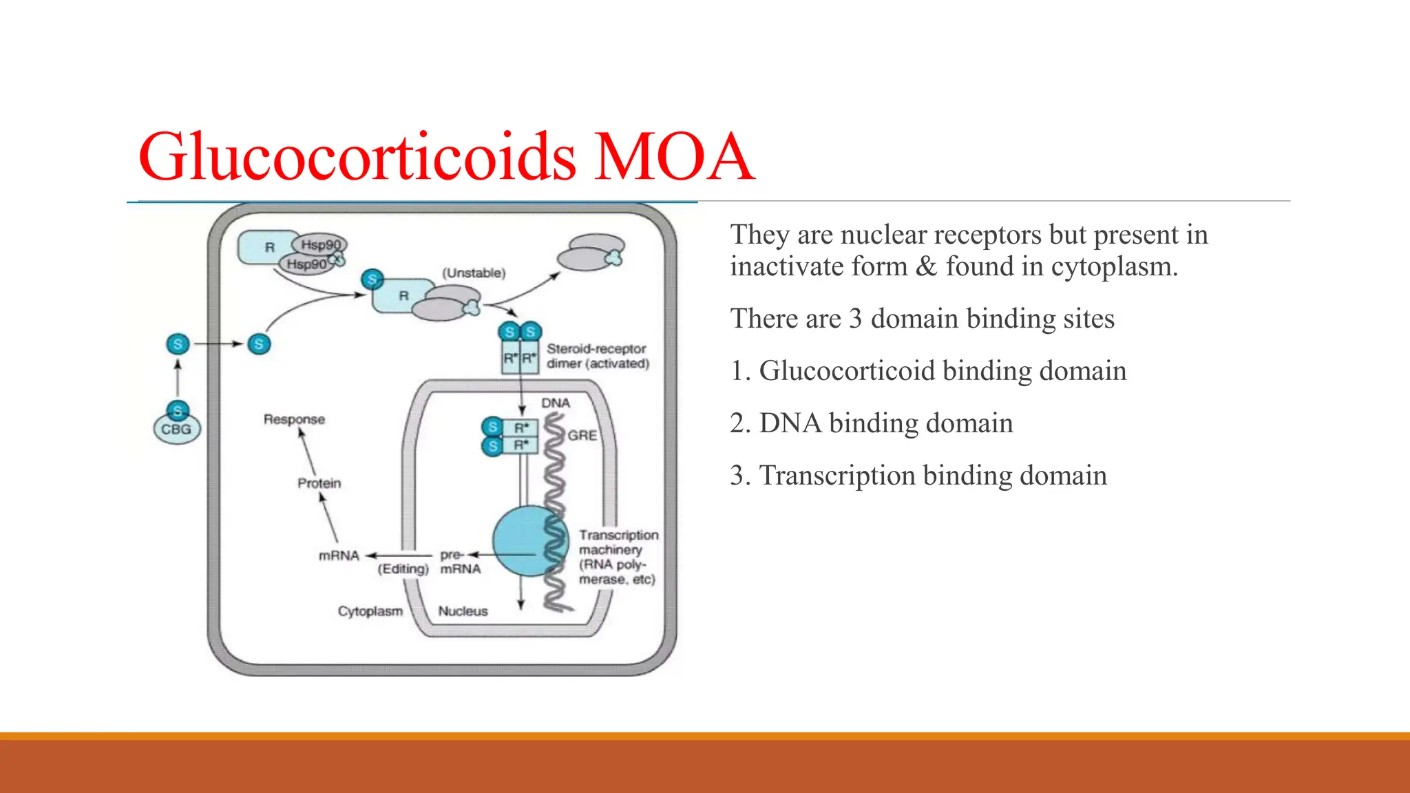 Molecular & Cellular Pharmacology & Mechanism of Action of ...