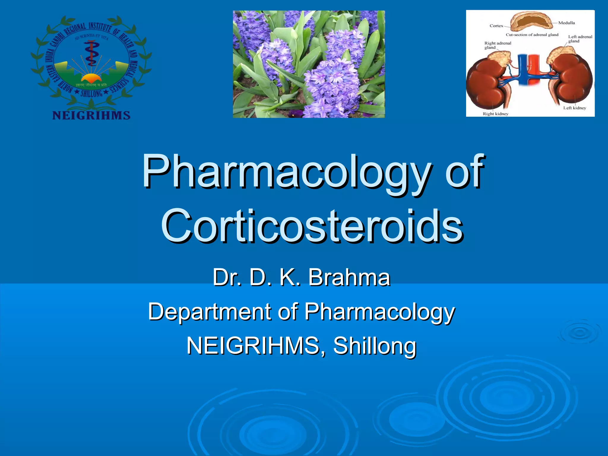 corticosteroidsclass-drdhriti-101009075439-phpapp02.pdf