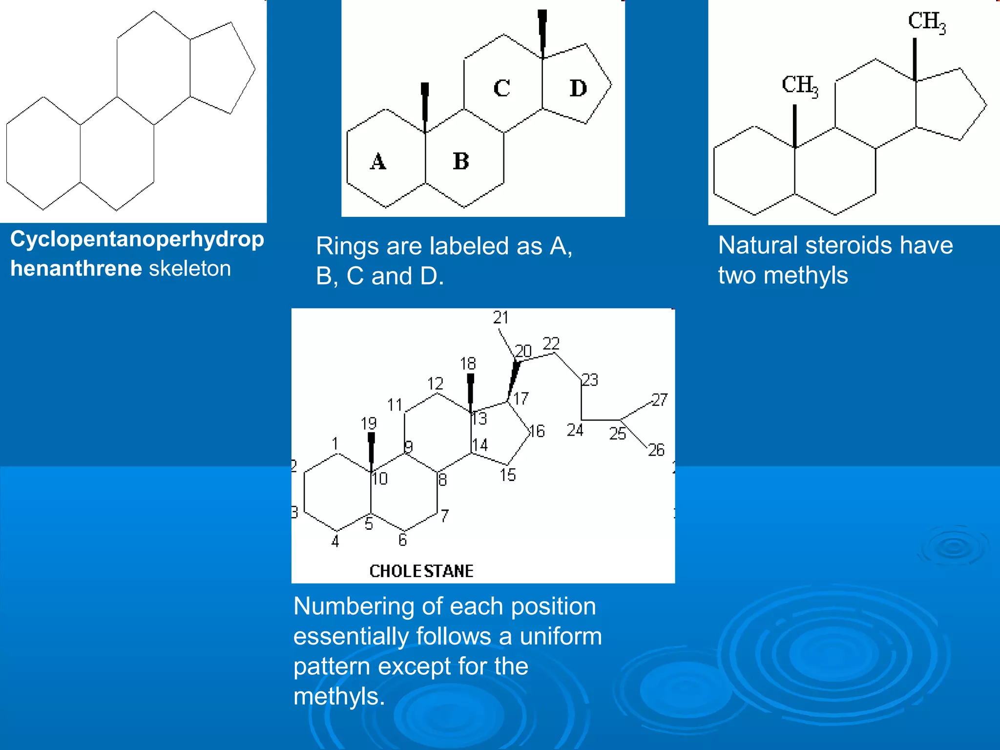 Corticosteroids Pharmacology - drdhriti | PPT