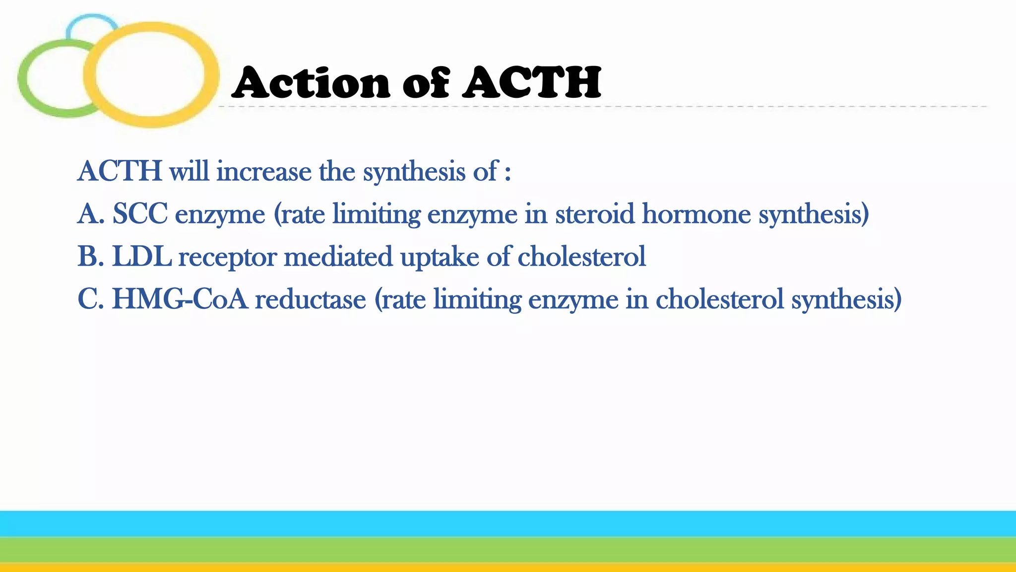 Cortisol- Synthesis, Regulation, Physiological actions, Disorders I ...