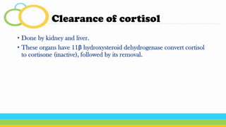 Cortisol- Synthesis, Regulation, Physiological actions, Disorders I ...