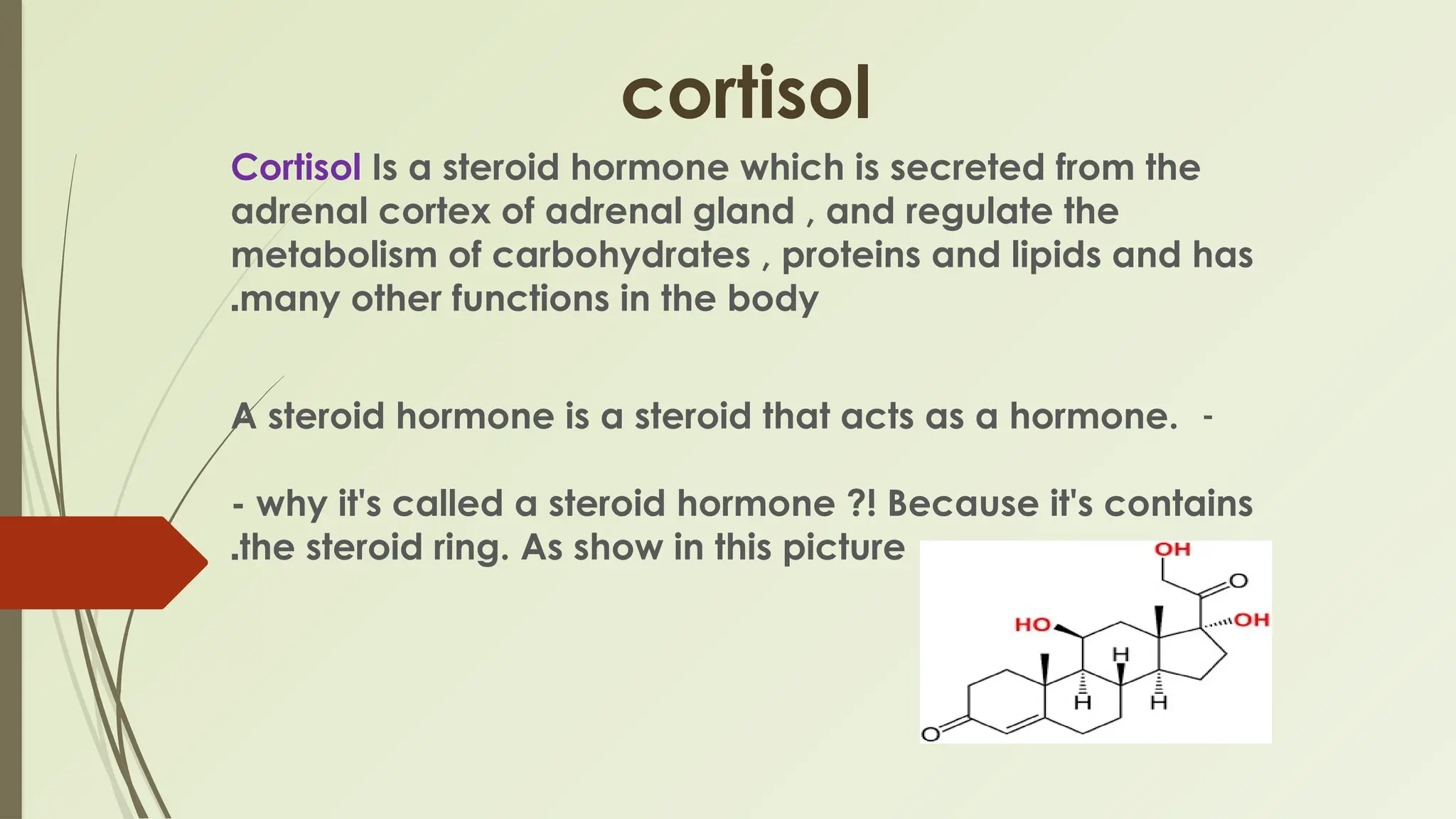 Cortisol Hormone presentation. . ppt | PPTX
