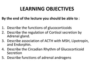 Cortisol and adrenal androgens | PPT