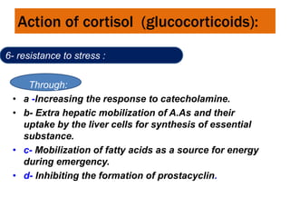 Cortisol hormone1.pptx