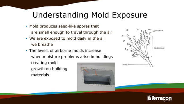 Corvias Mold and Moisture SOP Training.pptx