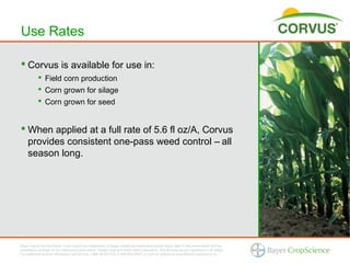 Corvus Corn Herbicide - 2012 Brand Presentation | PPT