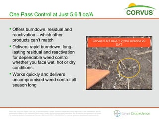 Corvus Corn Herbicide - 2012 Brand Presentation | PPT | Agriculture ...