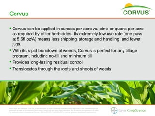 Corvus Corn Herbicide - 2012 Brand Presentation | PPT | Agriculture ...